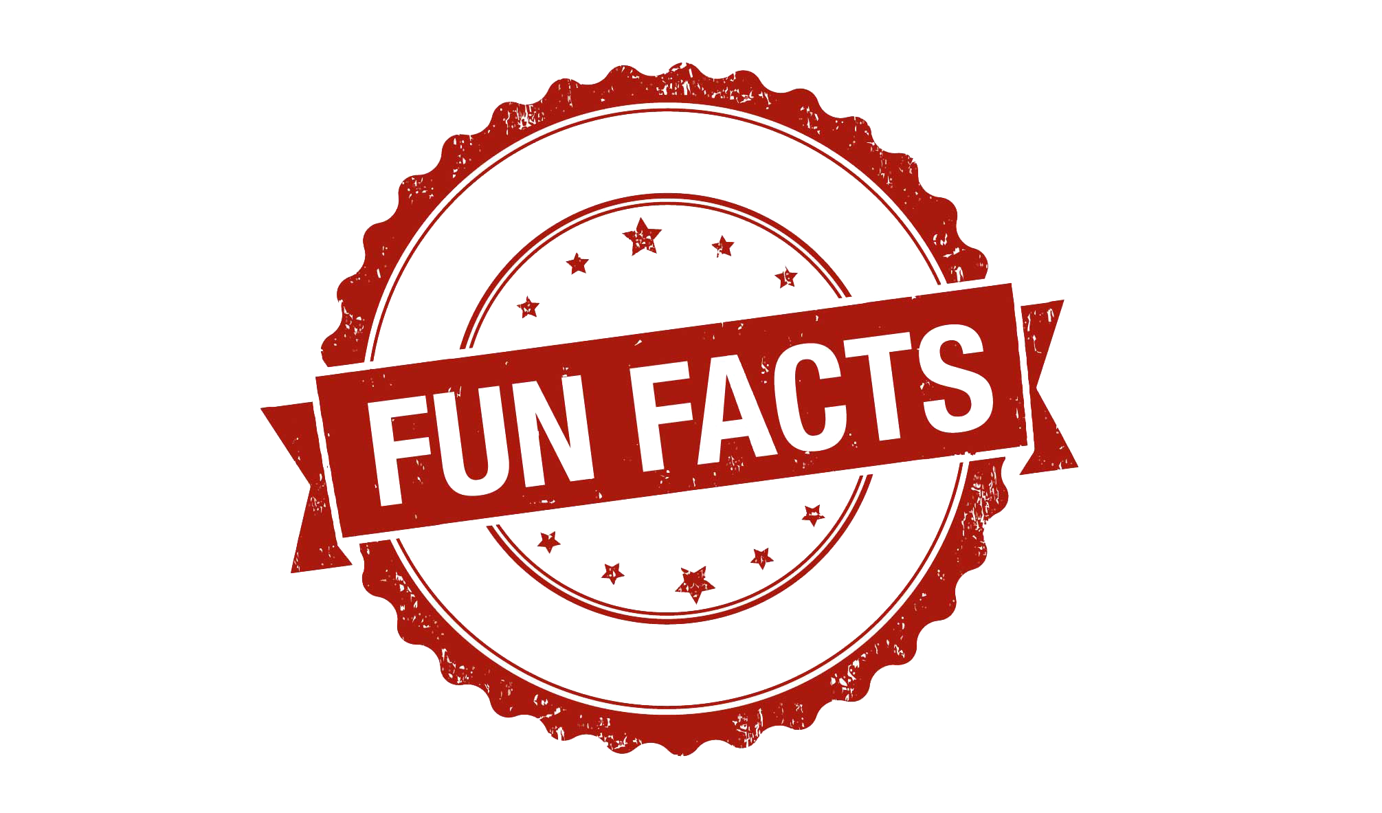 Merkur Casino Fun Facts Merkur Casino Fun Facts
